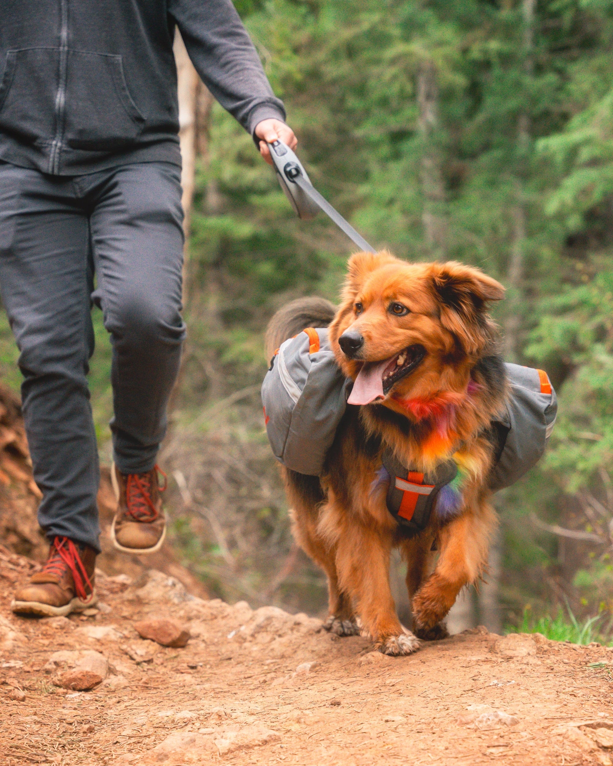 K9 Dog Pack - Backpack for Dogs - Mountainsmith