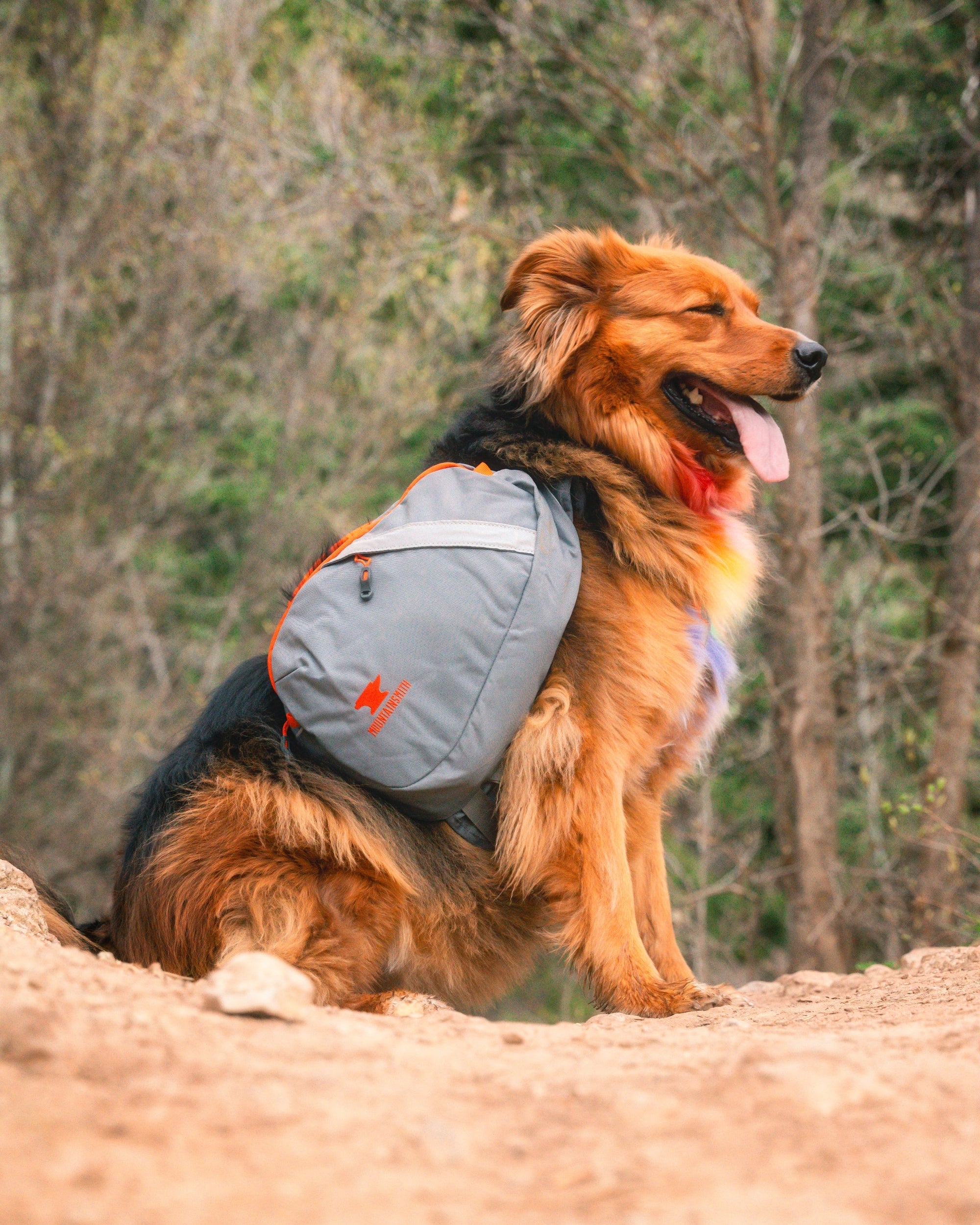 K9 Dog Pack - Backpack for Dogs - Mountainsmith
